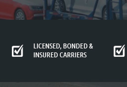 Car Container Shipping Rates 🚘 Nov 2025